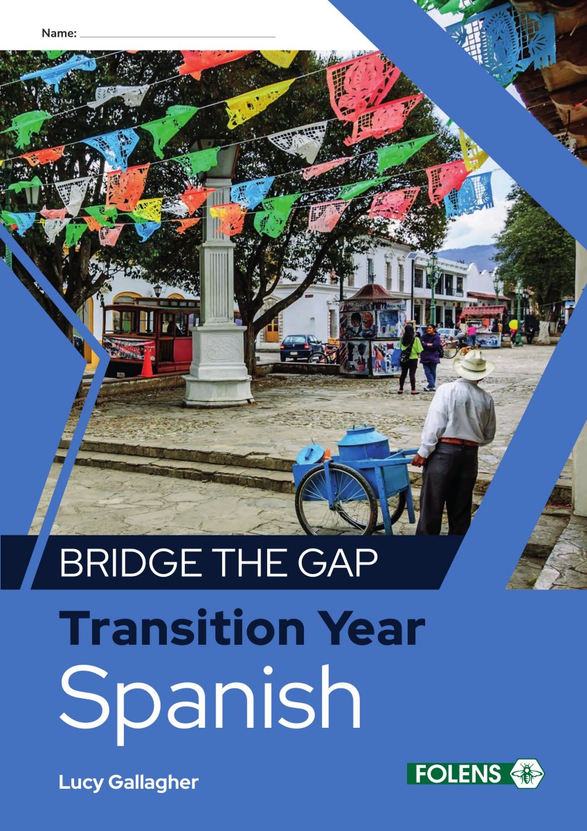 bridge gap year