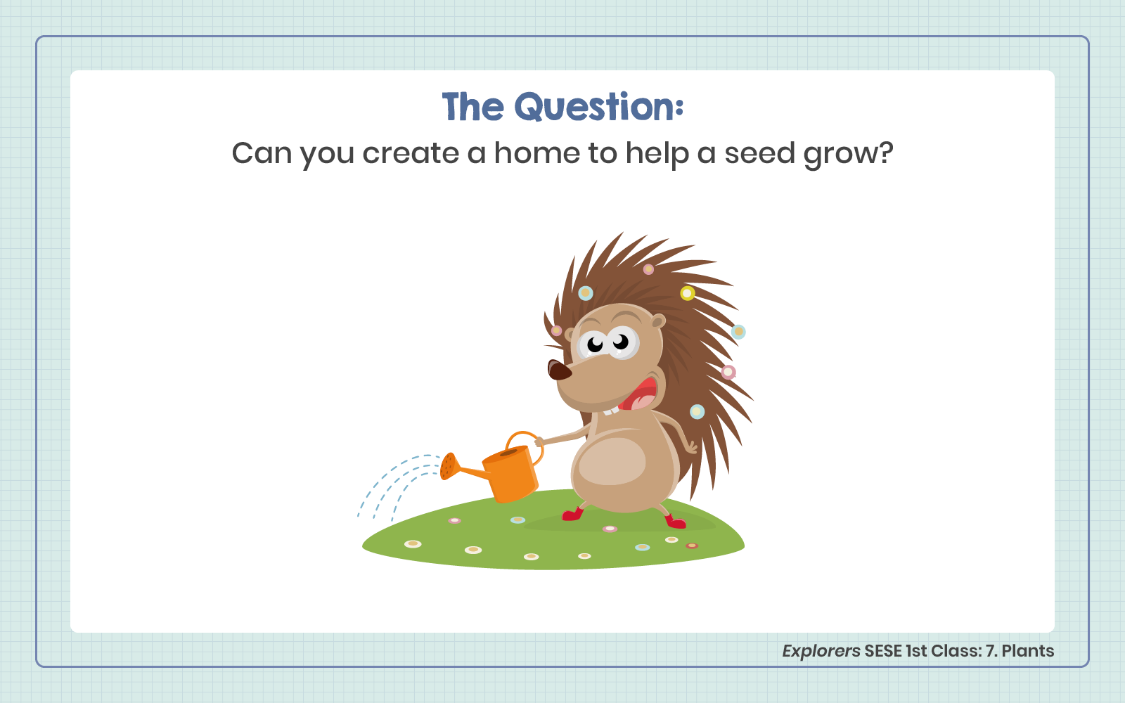 STEM Challenges