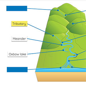 River Tributary Diagram